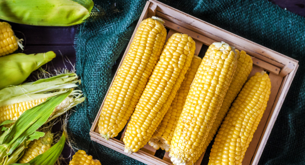 Health benefits of corn (sweet corn) - ABPS NEWS : A Multi Language ...